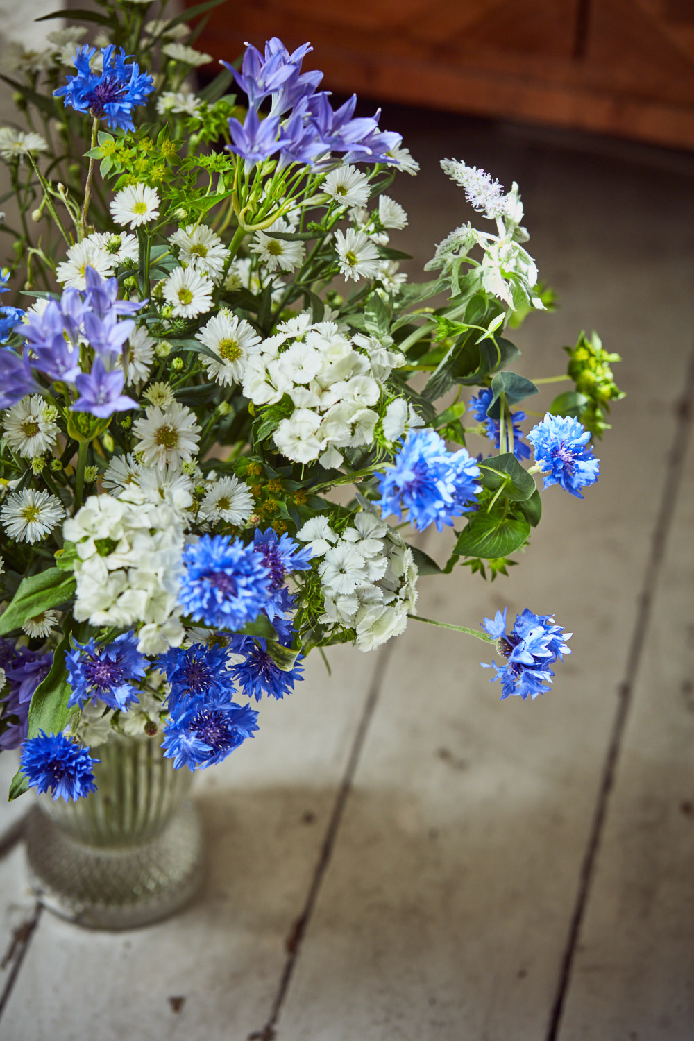 Aron Gelbard, Founder of Bloom & Wild on A Little Bird - An Insiders ...