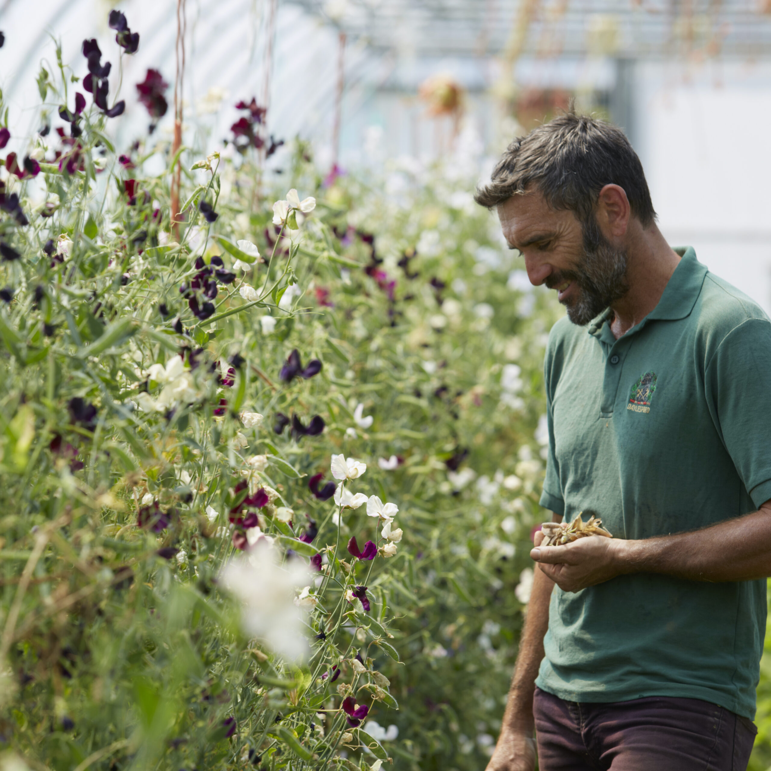 Gardening Tips from Daylesford's Market Gardener on A Little Bird - An ...
