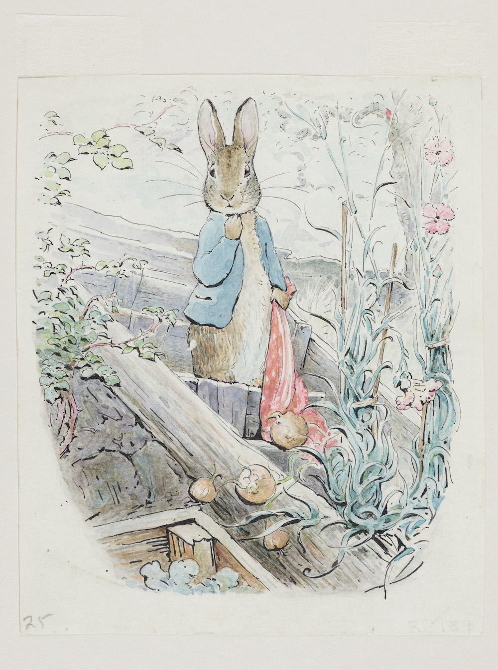 Beatrix Potter: Drawn to Nature on A Little Bird - An Insiders Guide to ...